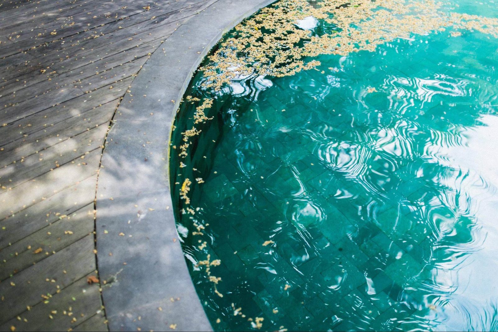 Defeat Black Algae in Your Pool: 3 Best Algaecides in 2024 | ByRossi